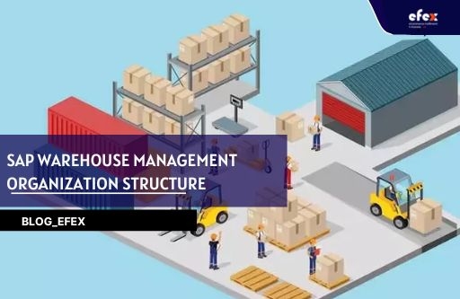 [2024] SAP Warehouse Management Organization Structure