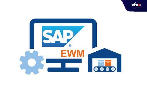 [2023] What is SAP Extended Warehouse Management?- EFEX