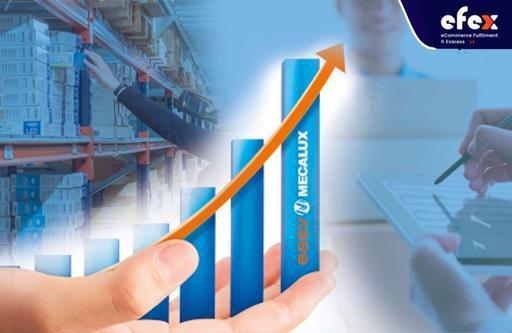 ECommerce Inventory Management: Challenges and Methods